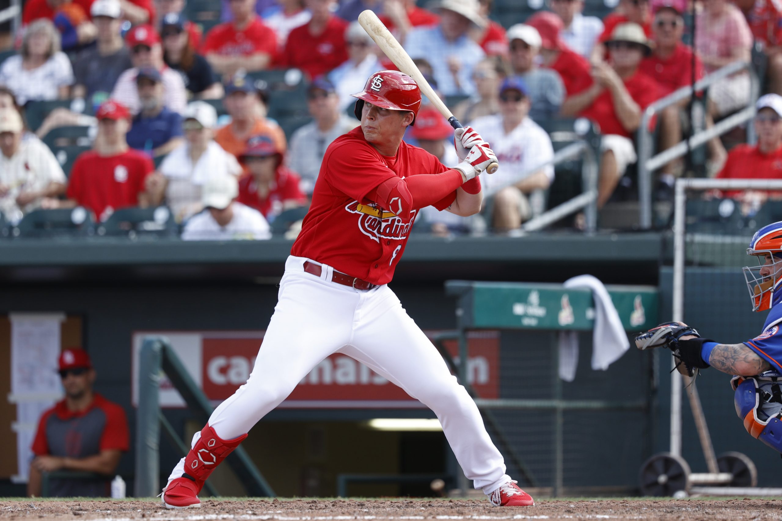 Ivan Herrera - MLBPTY